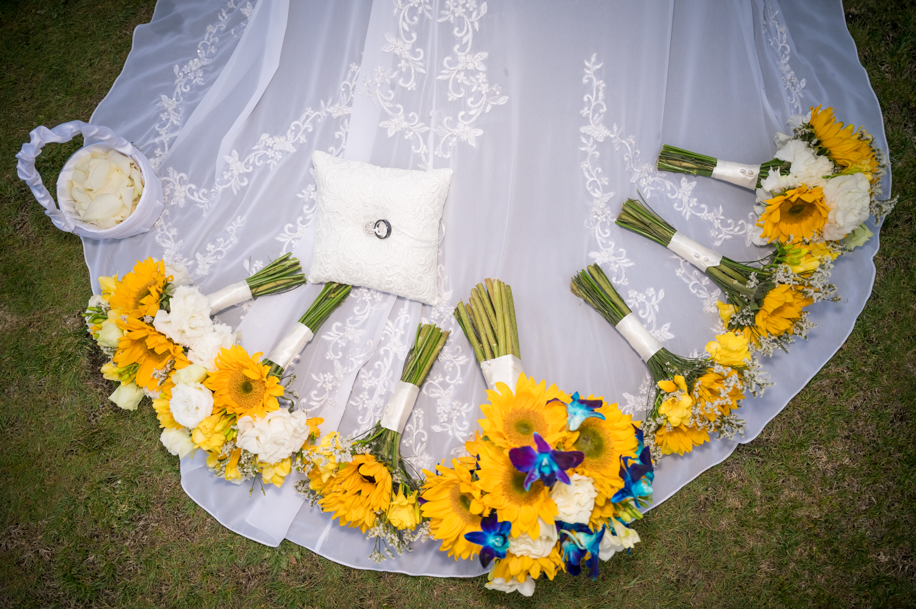 Ashley & Justin - Drums, PA - Frankie Carll Productions